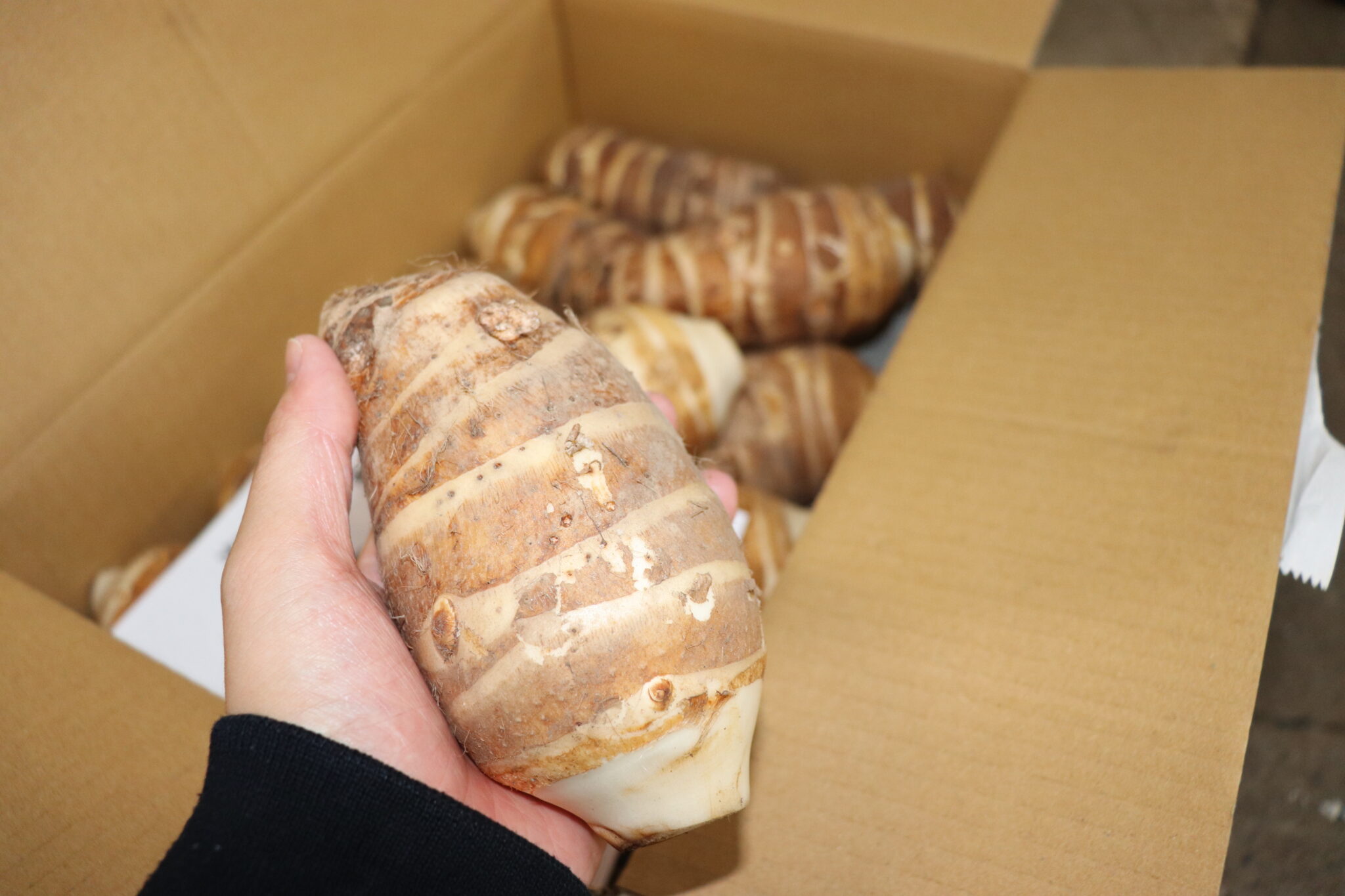 %E3%81%88%E3%81%B3%E3%81%84%E3%82%822 | 北九州青果株式会社