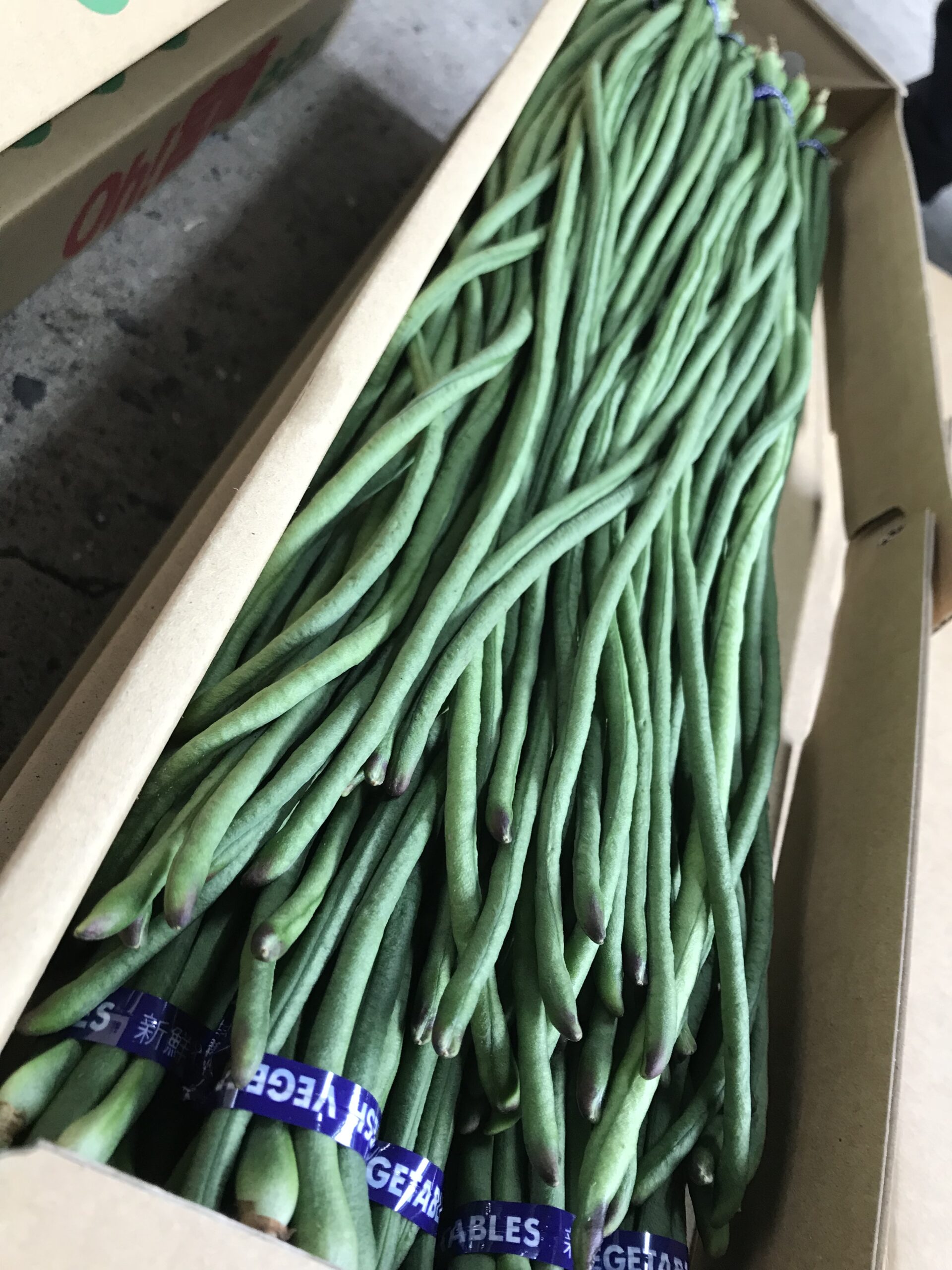 %E3%81%95%E3%81%95%E3%81%921 | 北九州青果株式会社