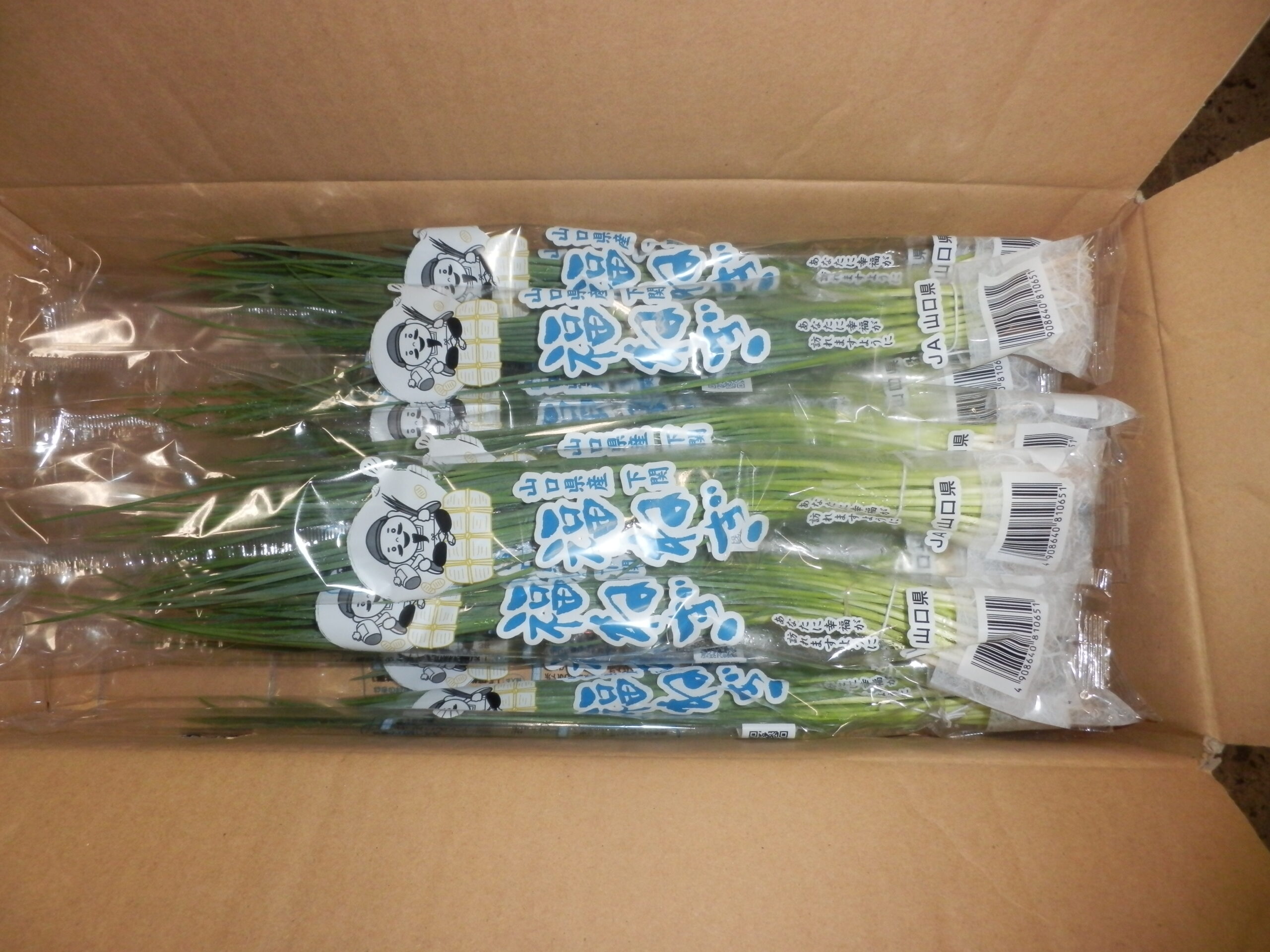 %E5%AE%89%E5%B2%A1%E3%83%8D%E3%82%AE%EF%BC%91 | 北九州青果株式会社