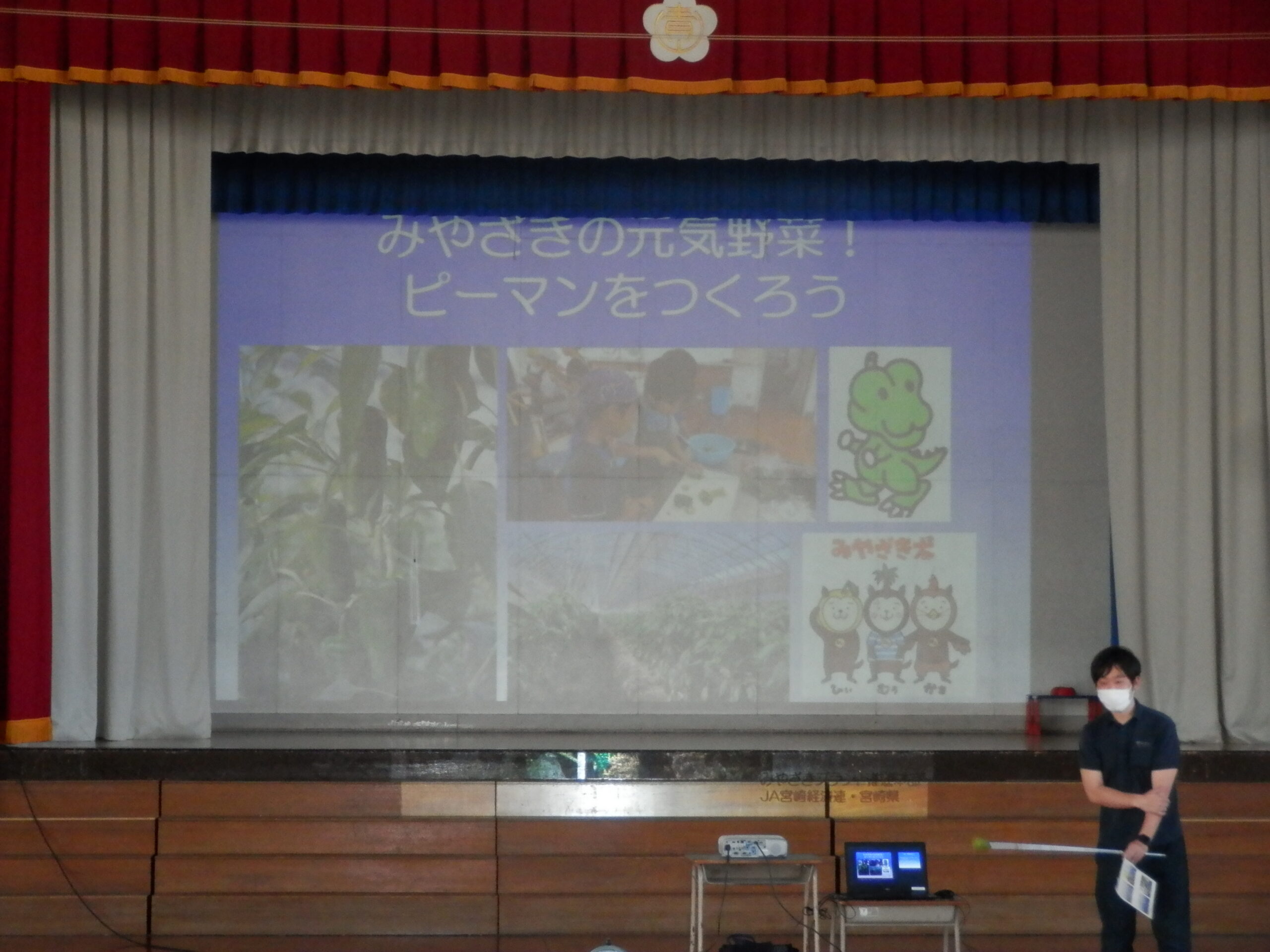 %E5%AE%AE%E5%B4%8E%E3%83%94%E3%83%BC%E3%83%9E%E3%83%B3%E9%9D%92%E5%B1 ...