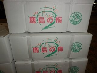 %E6%A2%85%E4%BD%90%E8%B3%80%E5%B0%8F%E6%A2%85%EF%BC%92 | 北九州青果株式会社