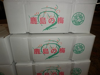 %E6%A2%85%E4%BD%90%E8%B3%80%E5%B0%8F%E6%A2%85%EF%BC%92 | 北九州青果株式会社